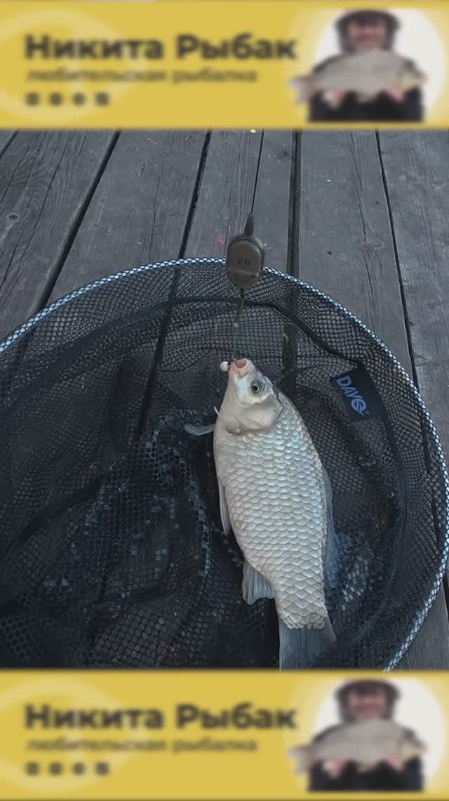 3 ошибки фидериста ранней весной — не повторяй их!