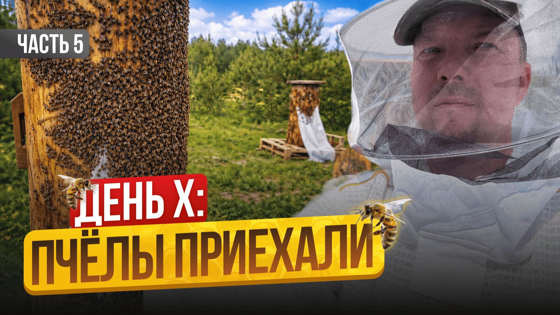 Сбежал с офиса на пасеку! Что из этого вышло? Строю пасеку с нуля | Серия 5