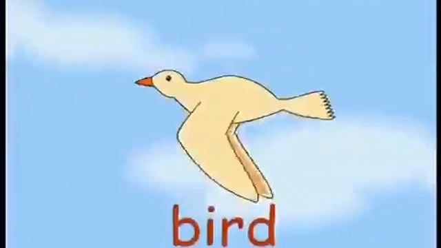 Spotlight 3Module 5 Clever Animals page 10