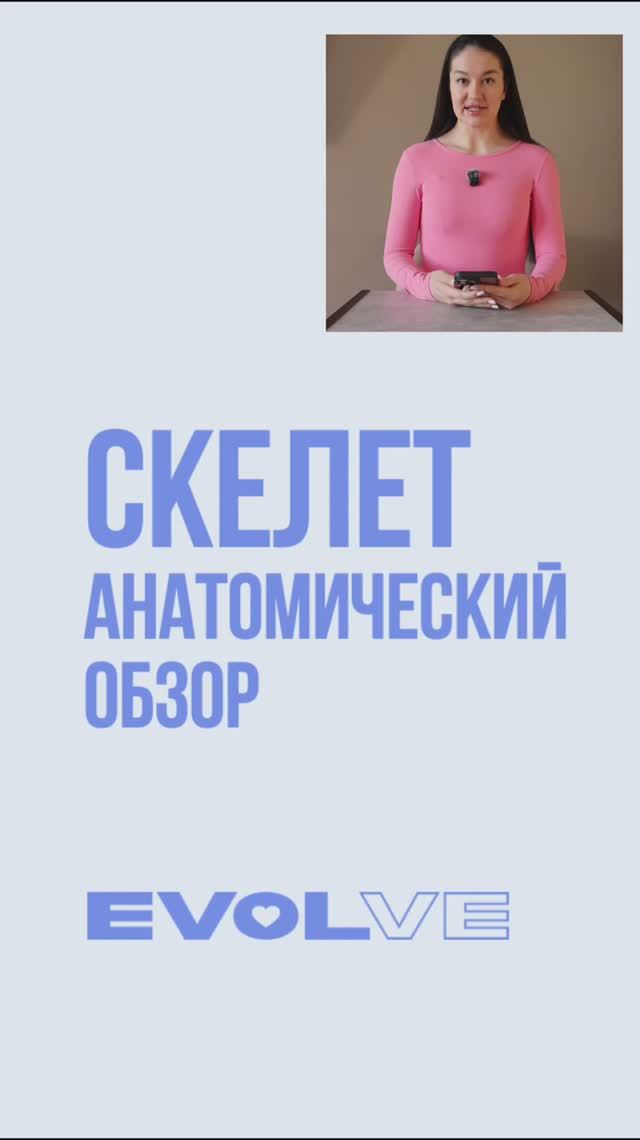 3 урок - обзор скелета