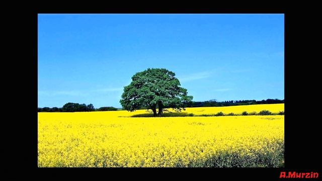 French Frize - Зима