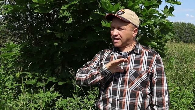 "Мы в ответе..." с Павлом Глазковым