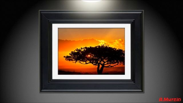 French Frize - Радио