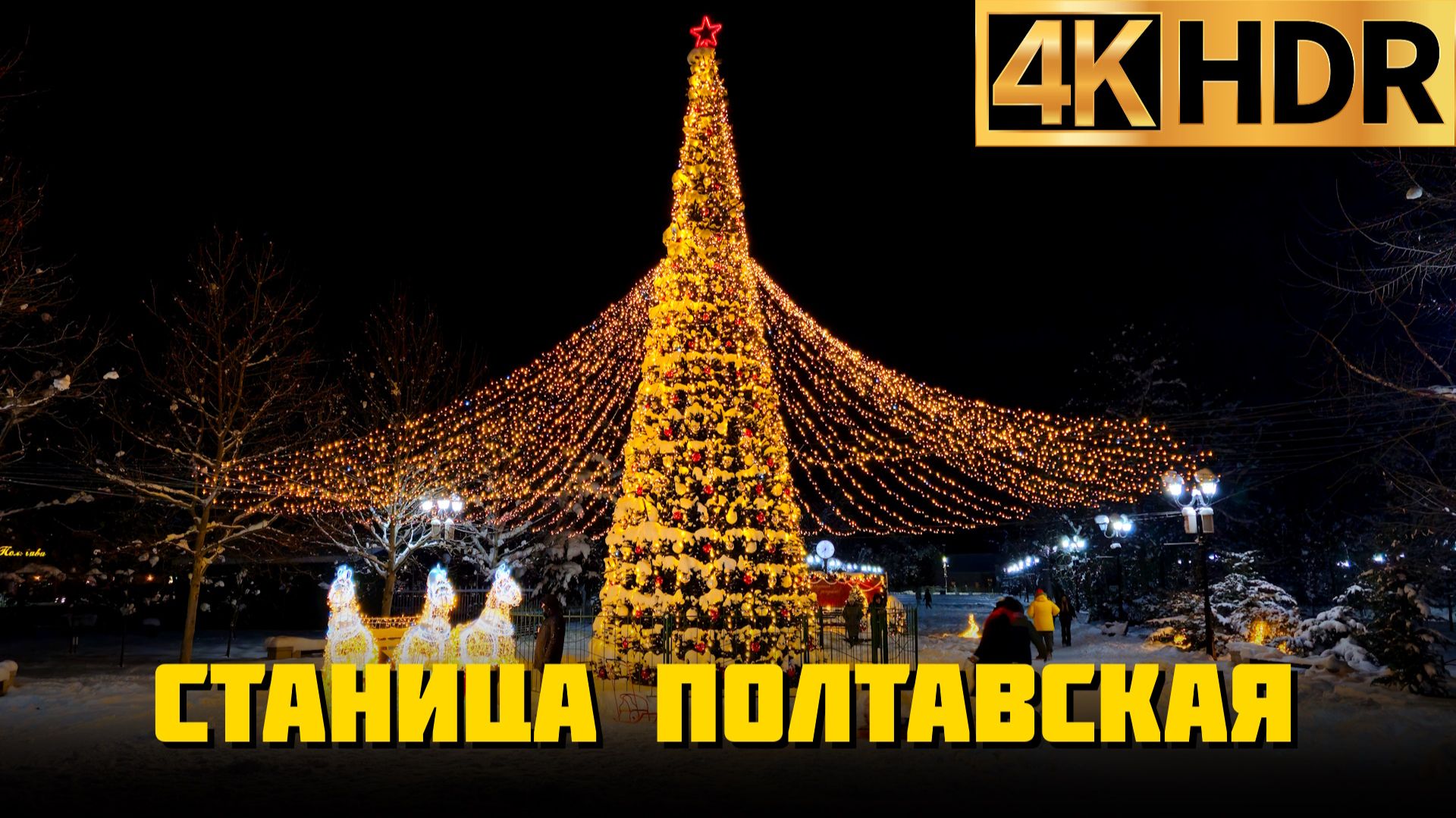 Станица Полтавская Краснодарский край январь 2026 год