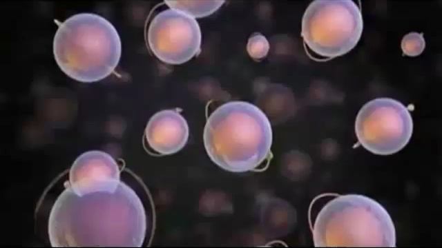 Принцип действия магнитно-резонансной томографии