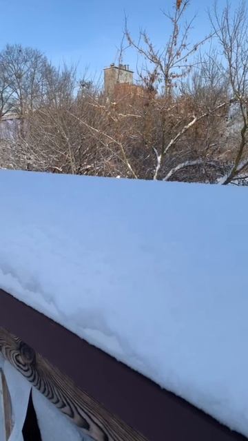 Вот так зима! 40 см снег на крыше теплицы #теплица #дача #сад #агробизнес