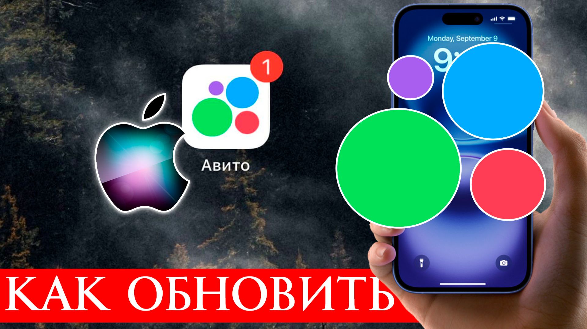 Как обновить Авито на Айфоне в 2026 году