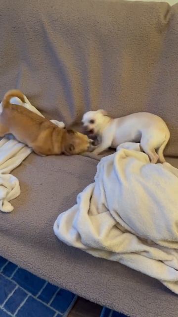 Раз, два, три …