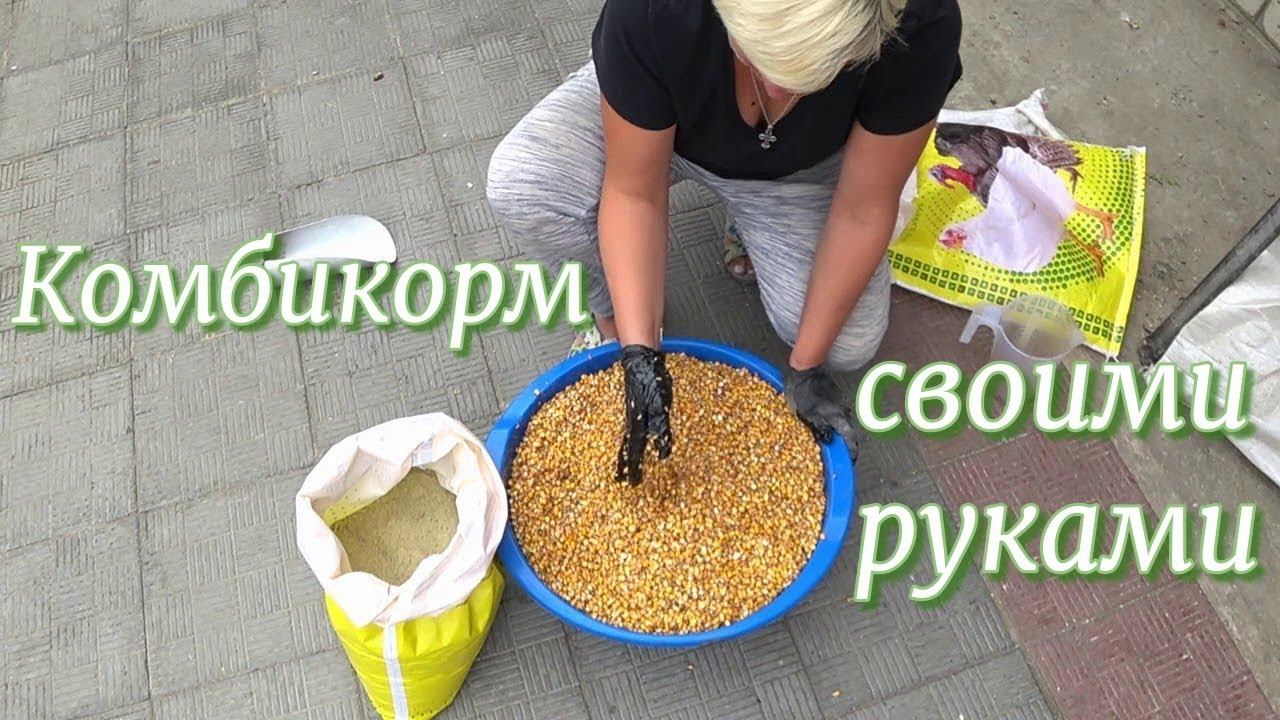 Комбикорм для бройлеров своими руками