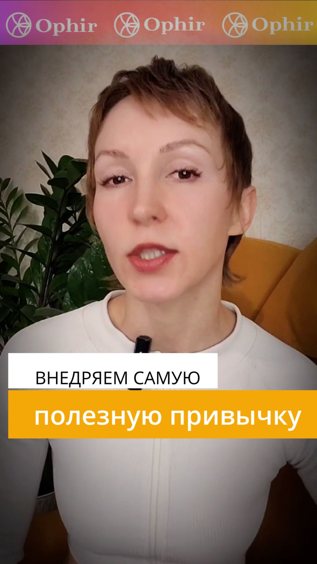 Однодневные голодания. Аутофагия. Чат поддержки в описании.