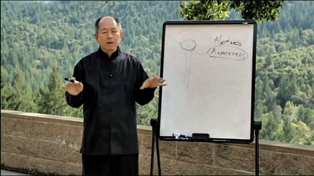 Боевой цигун 17. Бдительность и осознанность Ян Цзюньмин