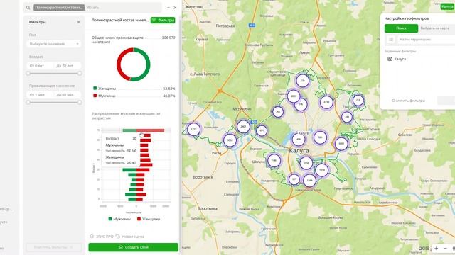 2ГИС Про – Ассет "Половозрастной состав населения"