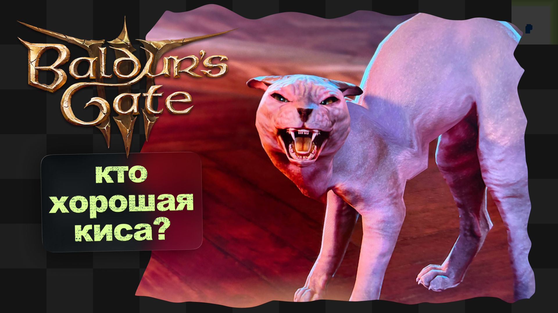 Baldur's Gate 3 / 13 / Таверна «Последний свет»