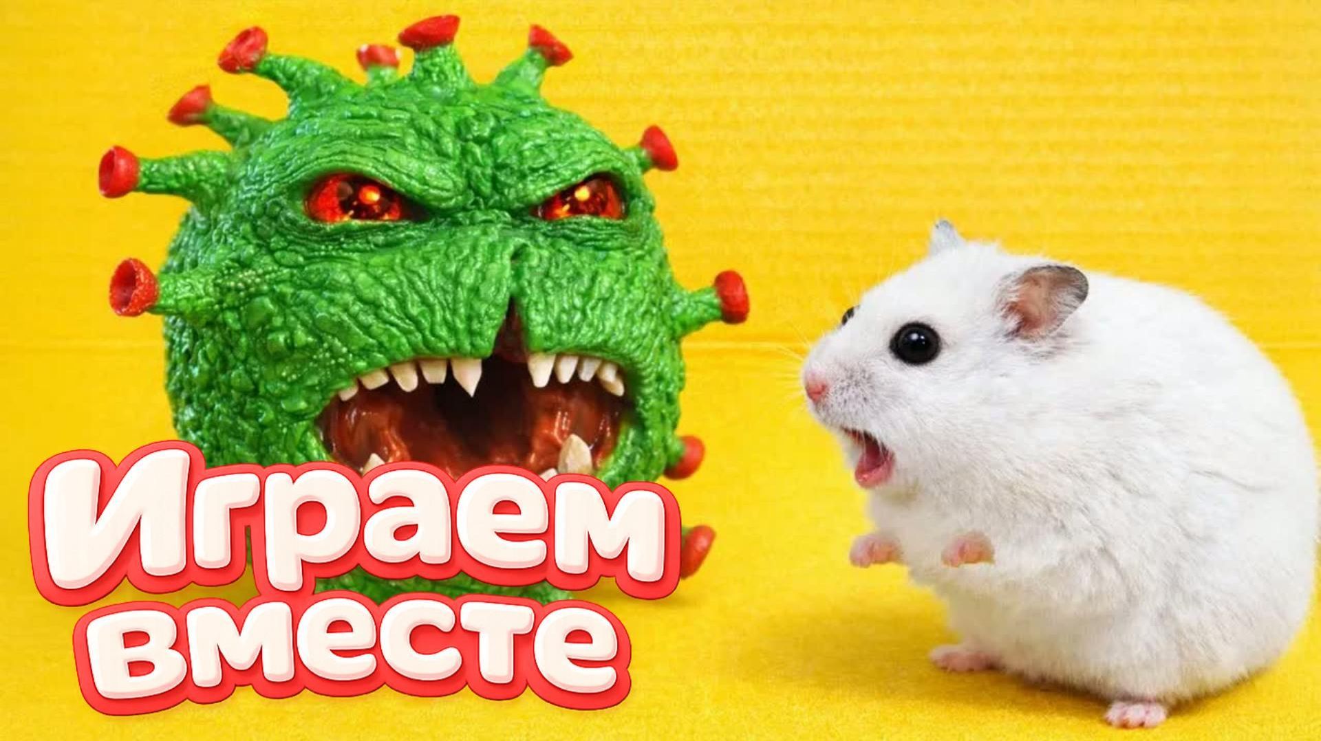 НОВЫЙ ОПАСНЫЙ ЛАБИРИНТ ДЛЯ ХРАБРОГО И УМНОГО ХОМЯКА 🐹 ВИДЕО ДЛЯ ДЕТЕЙ ! Ч.6