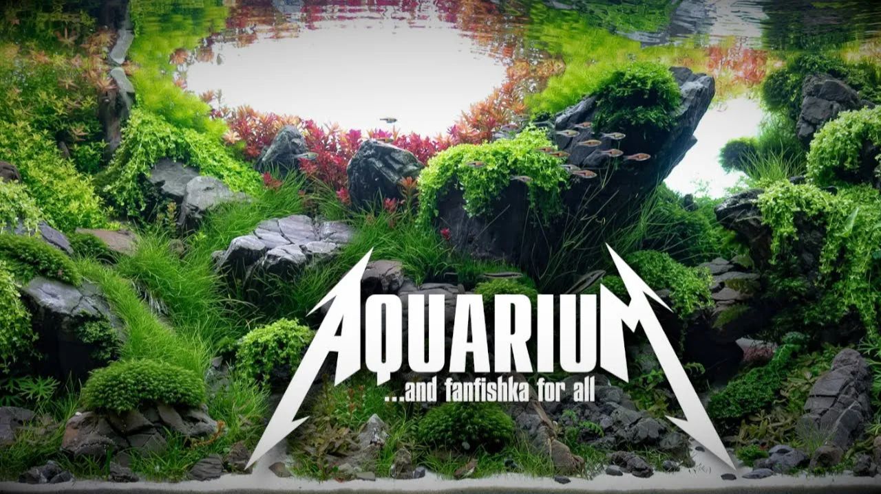 История одной фотографии IAPLC 2024  Мировой рейтинг 37