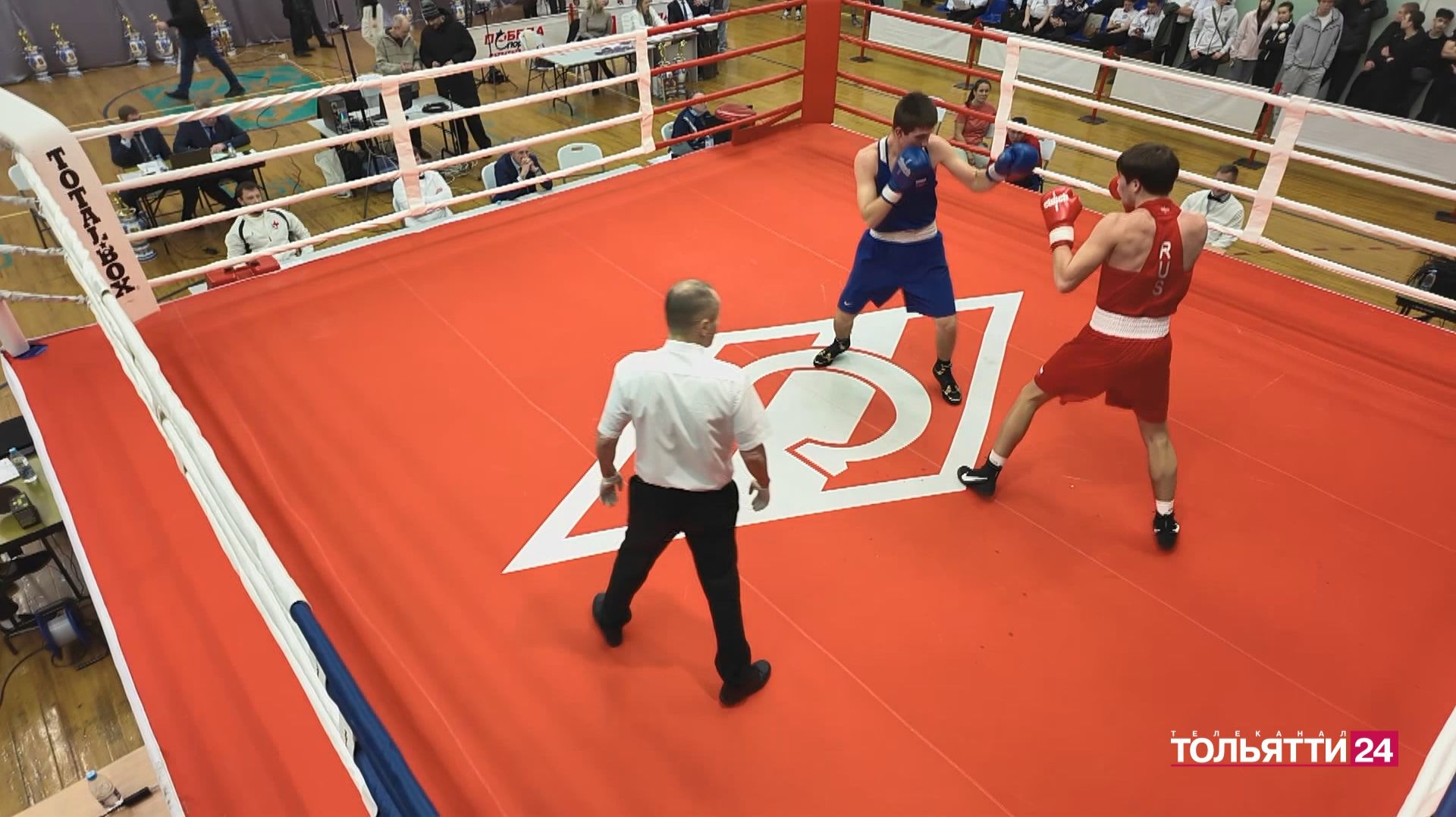 "Новости Тольятти" 19.01.2026