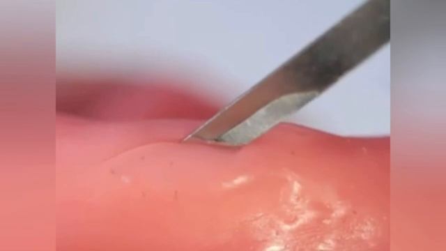 Обзор рукоятки для микролезвий N-0019. КМИЗ, Россия.