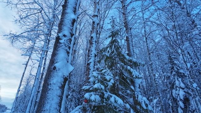 Снег и огонь