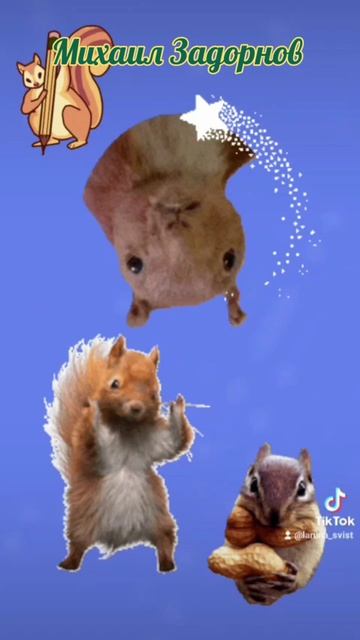 Задачка про белочку.