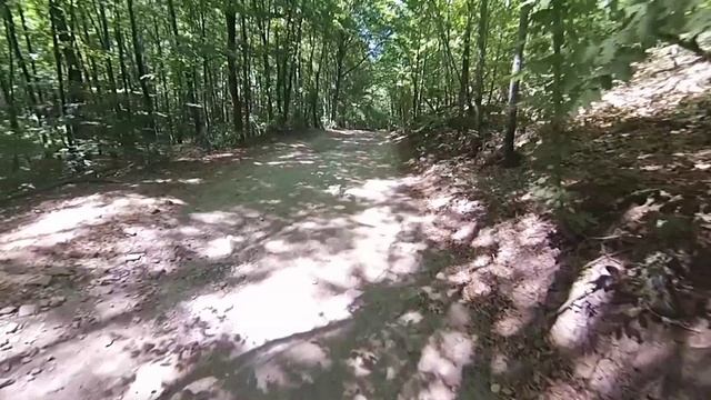 Песни в пути 2025