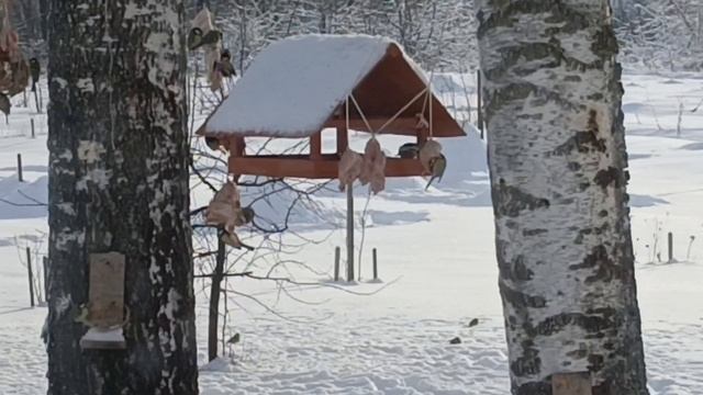 Говорят наши дети