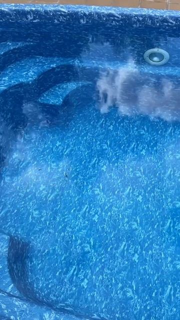 Обзор композитного бассейна после ремонта