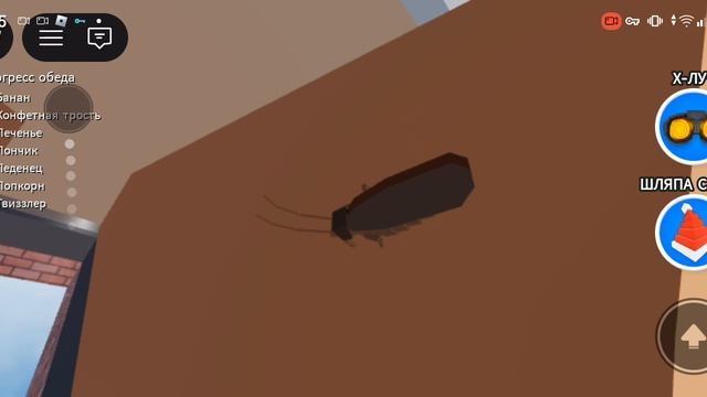 играю в ты таракан в моём доме в roblox