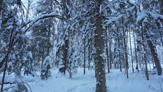 Снег и огонь ...