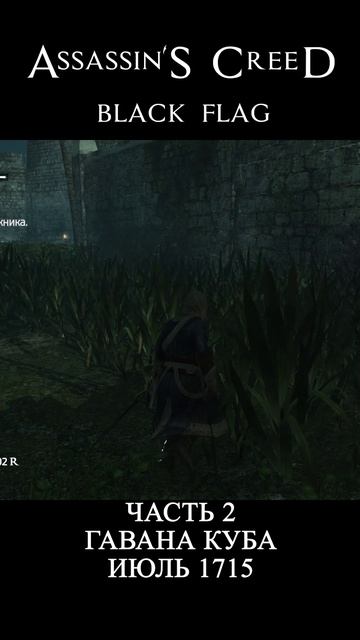 ЕСТЬ ПРЕНЗИИ? Ч3 ASSASSIN'S CREED BLACK FLAG