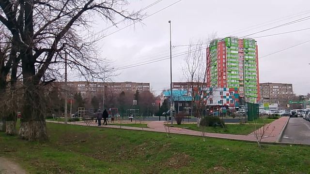 VID_20260105_111447