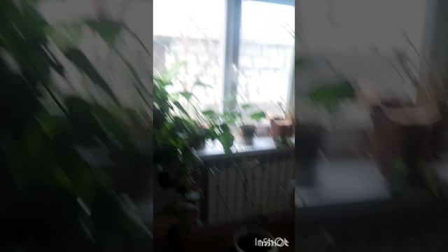 Обзор покупок.Комнатный светильник с датчиком движения и света.Серия2