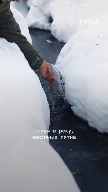 Как помочь лесу во время прогулки