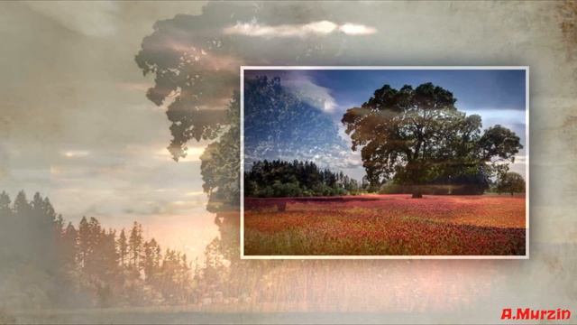 French Frize - Добрый вечер