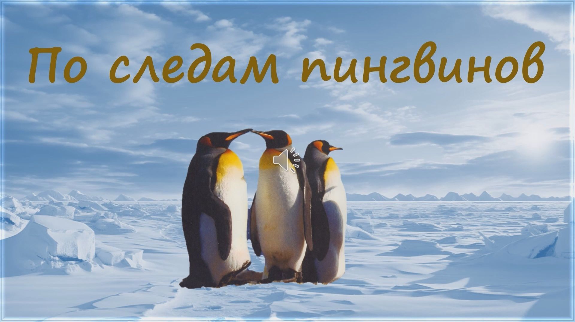 Видеообзор «По следам пингвинов»: к Международному дню осведомленности о пингвинах (6+)