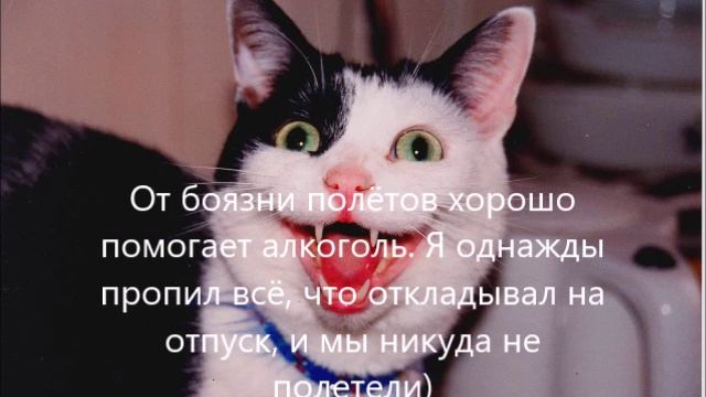 Анекдотцы - 13 🤣