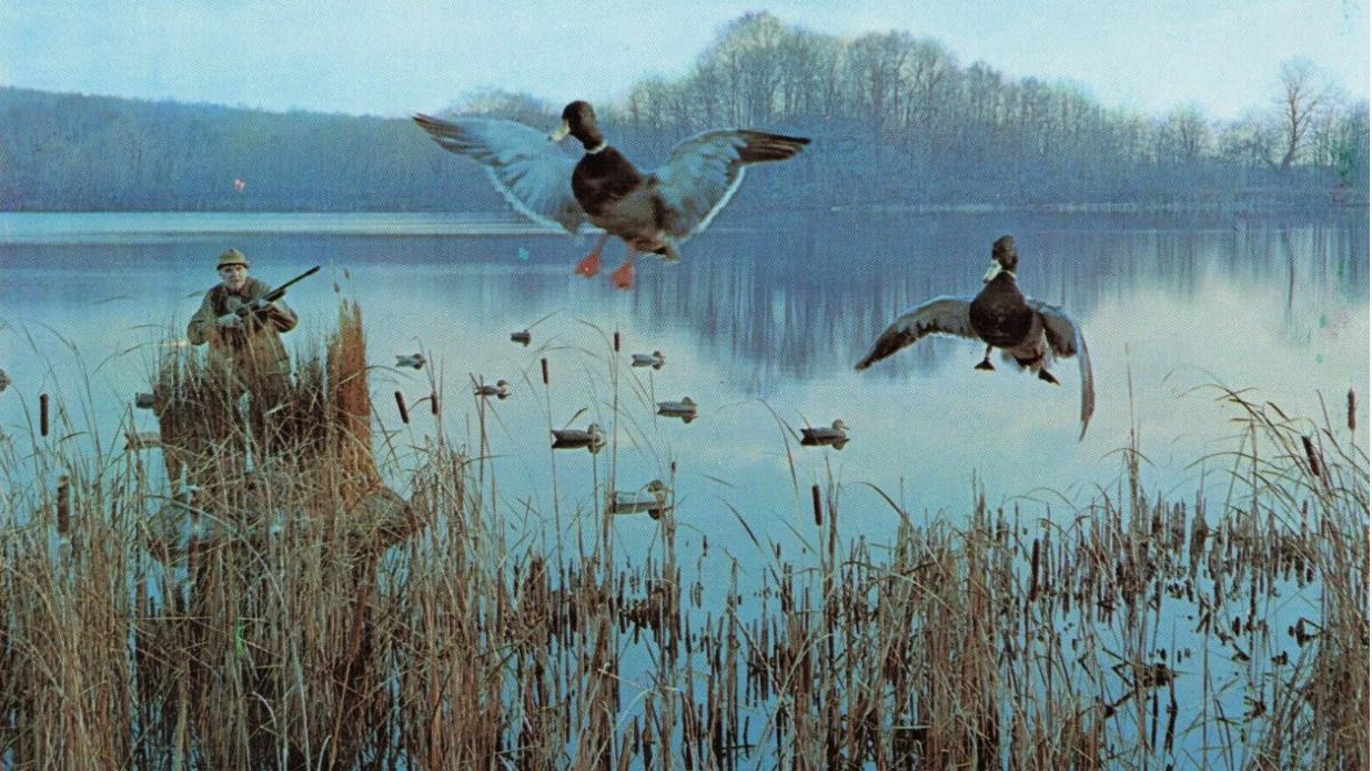 BULT:Hunting simulator-охота на уток с лодки