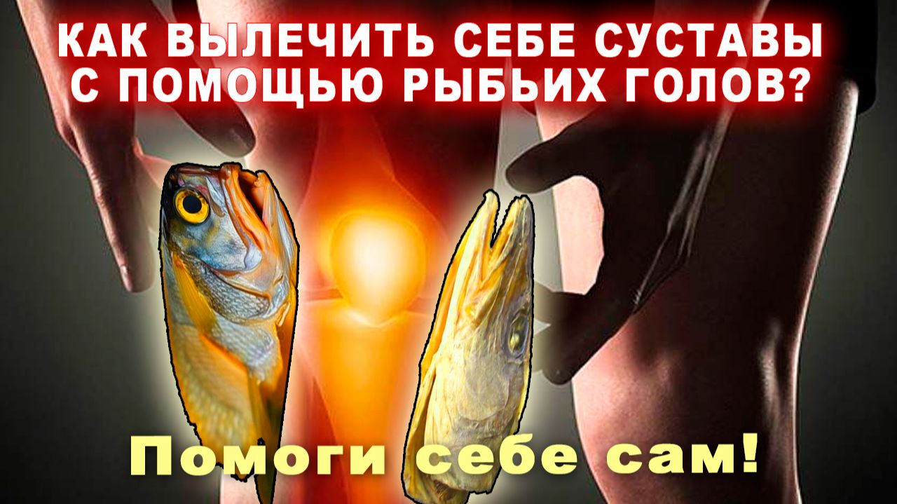 Как вылечить себе суставы с помощью РЫБЫ! Лечения и восстановление здоровья в домашних условиях.