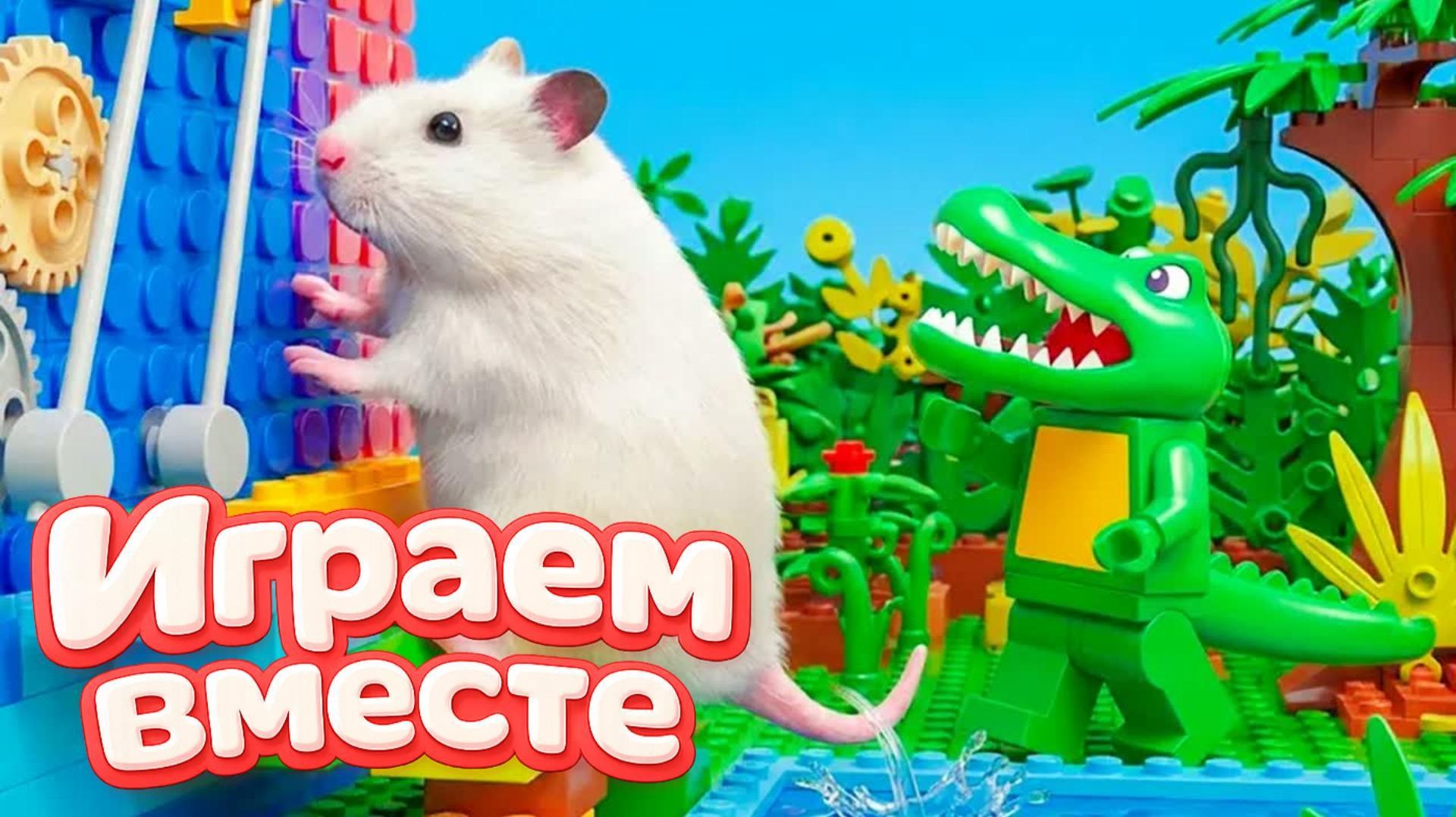НОВЫЙ ОПАСНЫЙ ЛАБИРИНТ ДЛЯ ХРАБРОГО И УМНОГО ХОМЯКА 🐹 ВИДЕО ДЛЯ ДЕТЕЙ ! Ч.8