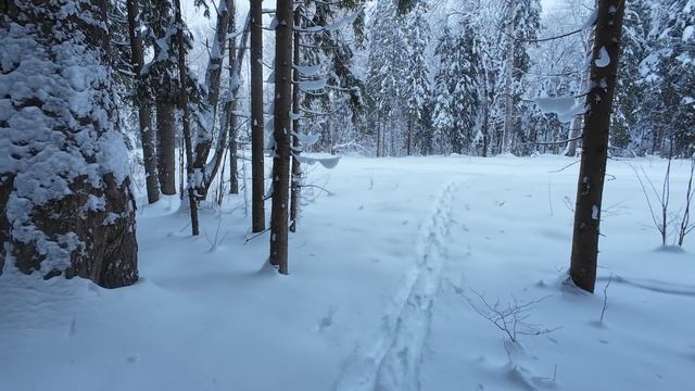 Снег и огонь ...