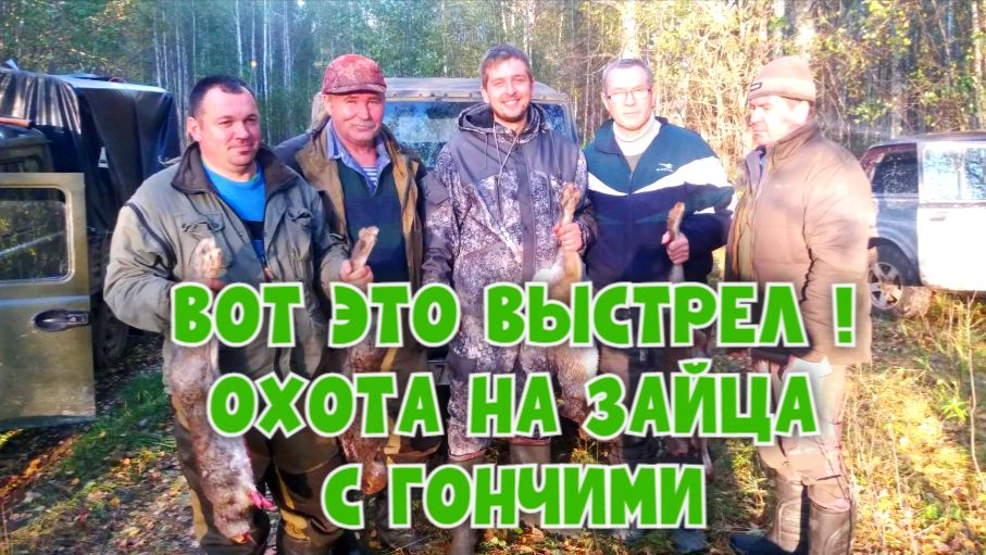 ВОТ ЭТО ВЫСТРЕЛ ! ОХОТА НА ЗАЙЦА С ГОНЧИМИ #охотасгончей#собака #животные #топ #hunting