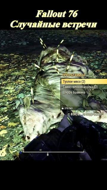 Fallout 76 Случайные встречи