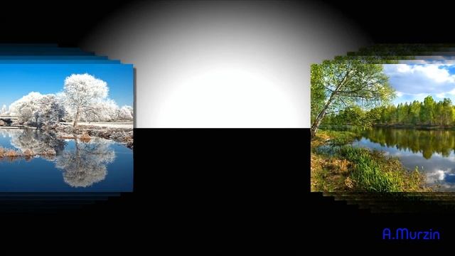 Fungus - Solar Fairy