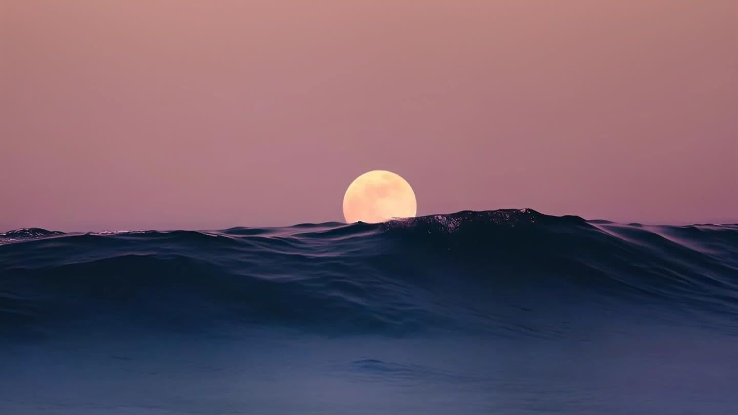 Max Deep Flow - When the Lights Fade Desert Rock1