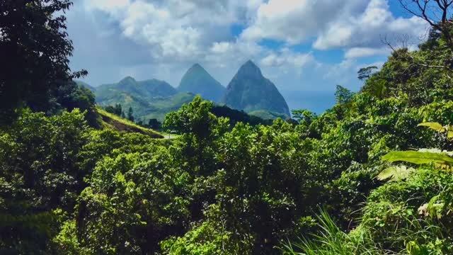 295. Сент-Люсия