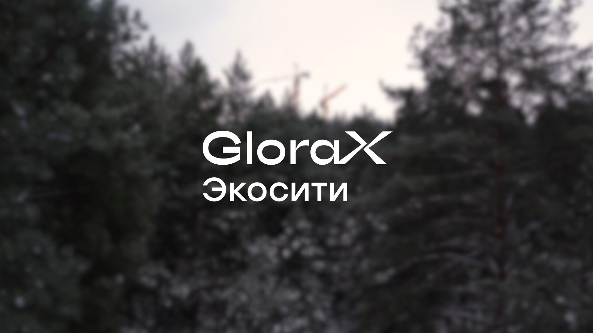 GloraX Экосити: Резиденции — динамика строительства за IV квартал 2025 года