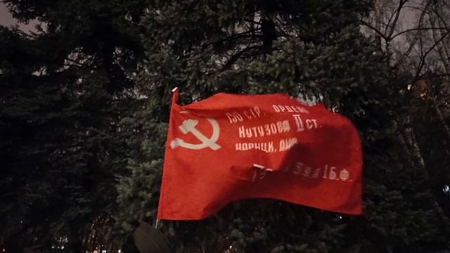 красная гвоздика декабрь 2025