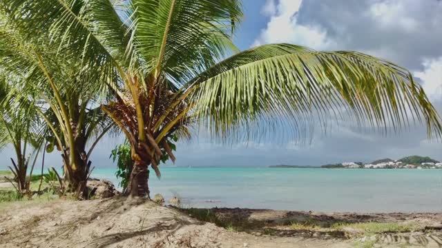 291. Гваделупа