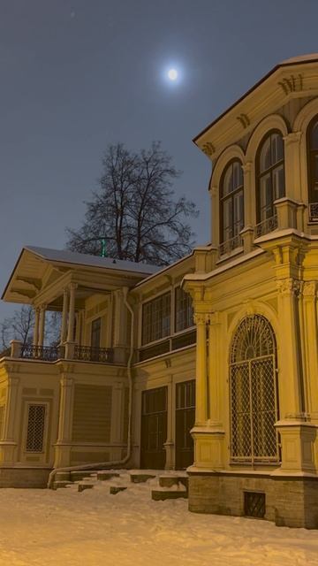 Санкт-Петербург, Зима 2026 года, Лопухинский сад, дача Лопухиных