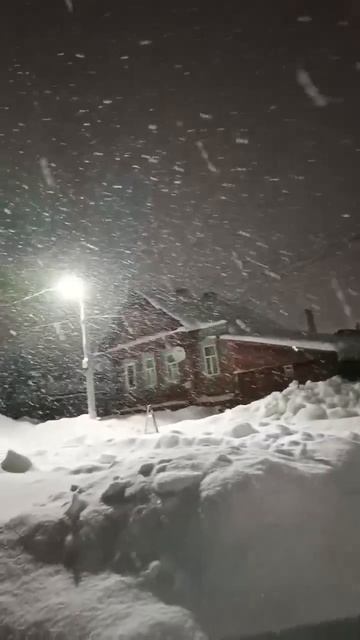 Заметает зима,заметает!