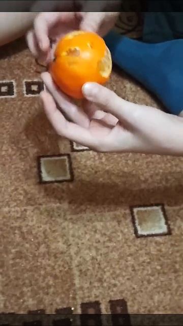приключения мандаринчика 1 серия